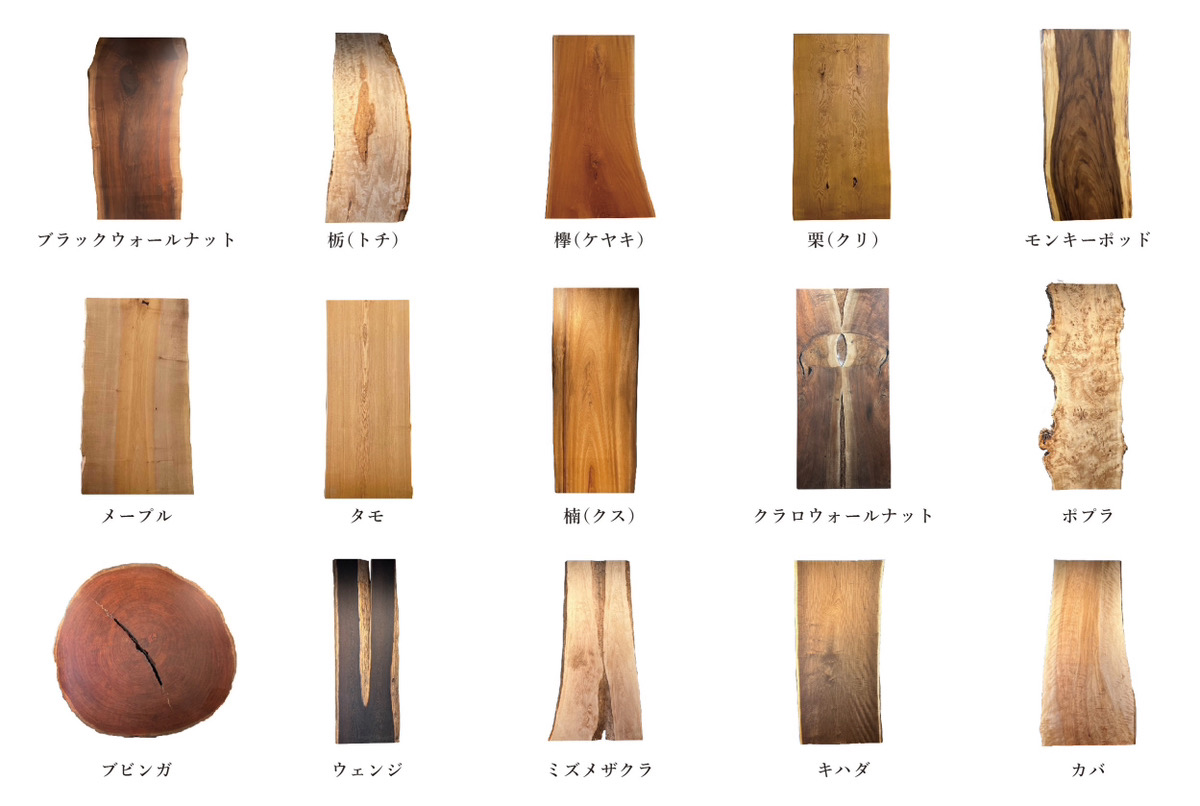 Q1. 上記の樹の中でお気に入りの樹のベスト3と、その理由（複数選択可）を下記の番号からお選びください。