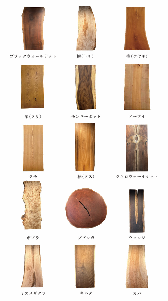 Q1. 上記の樹の中でお気に入りの樹のベスト3と、その理由（複数選択可）を下記の番号からお選びください。